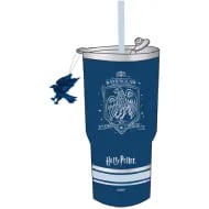 Miniso Harry Potter Licensed Thermos with Straw (580ml) - Ravenclaw ...