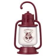 Harry Potter Red Lantern Night Light + Best Price in Sri Lanka ...